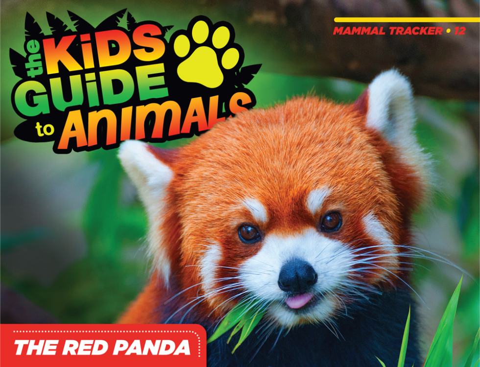 The Kids Guide | The People, Places and Events That Shape Our World