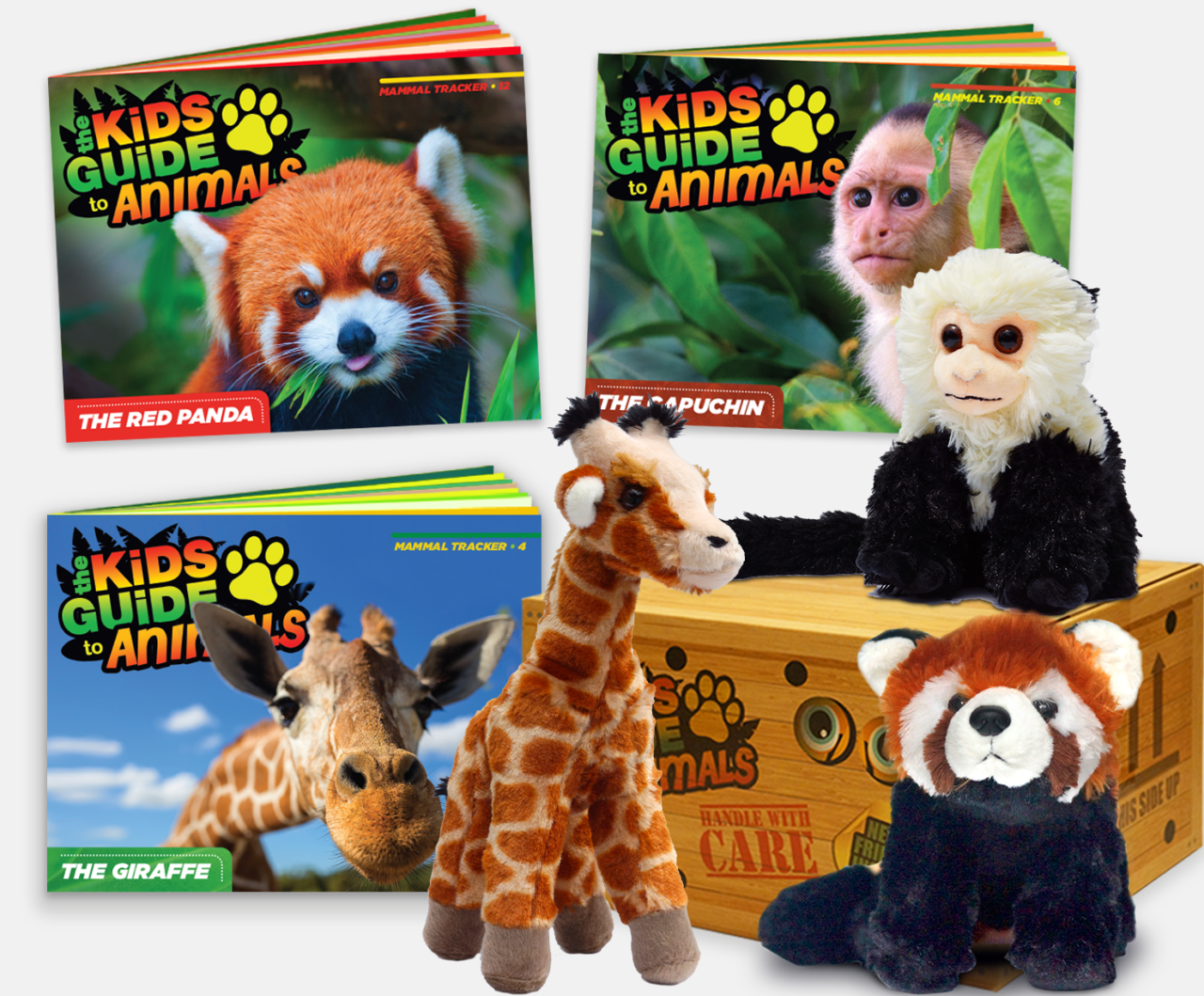 The Kids Guide | Educational Books for Kids!