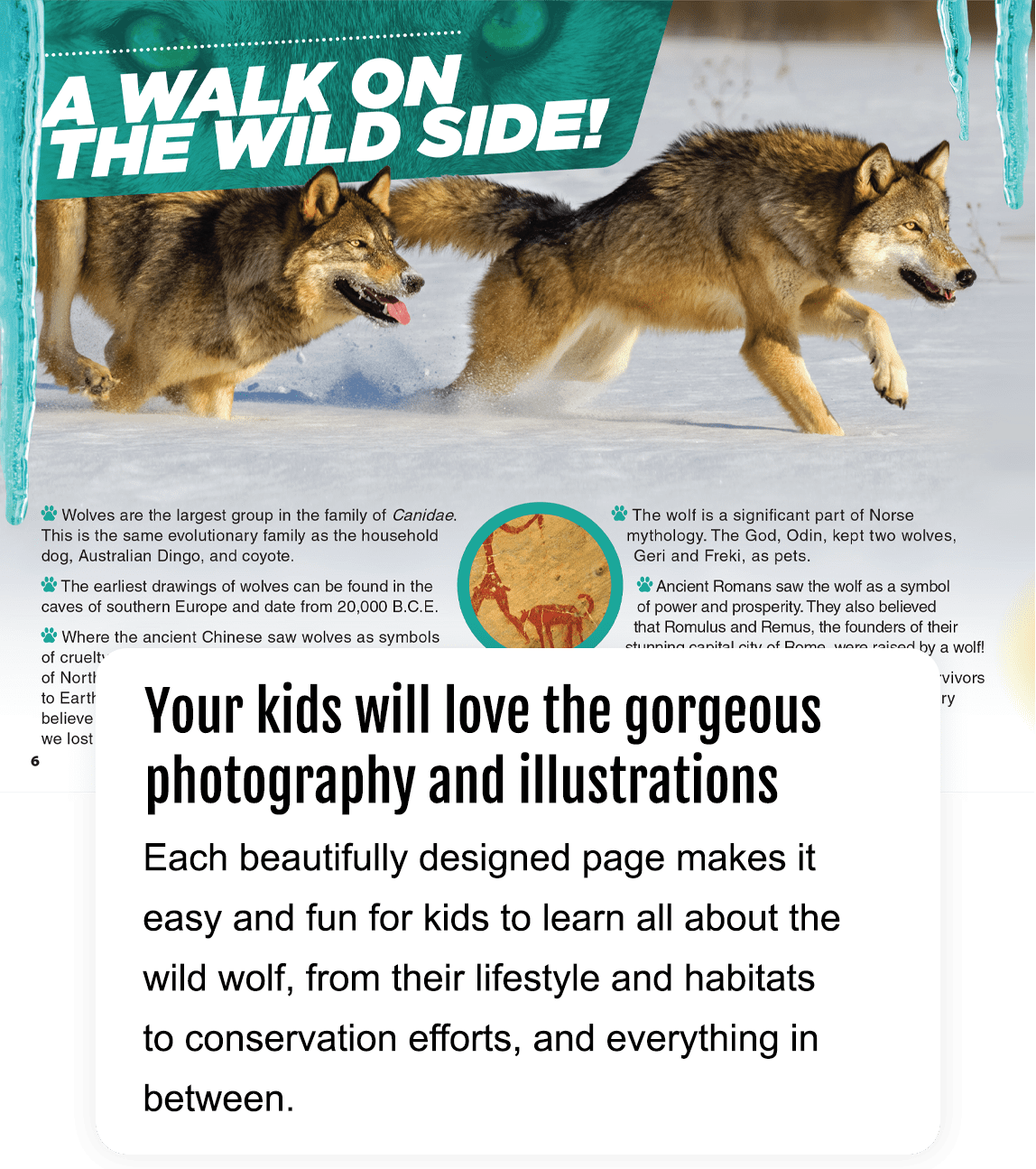 The Kids Guide to Animals: The Wolf
