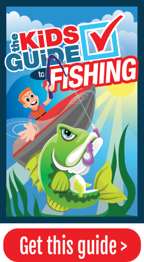 The Kids Guide | Our Guides