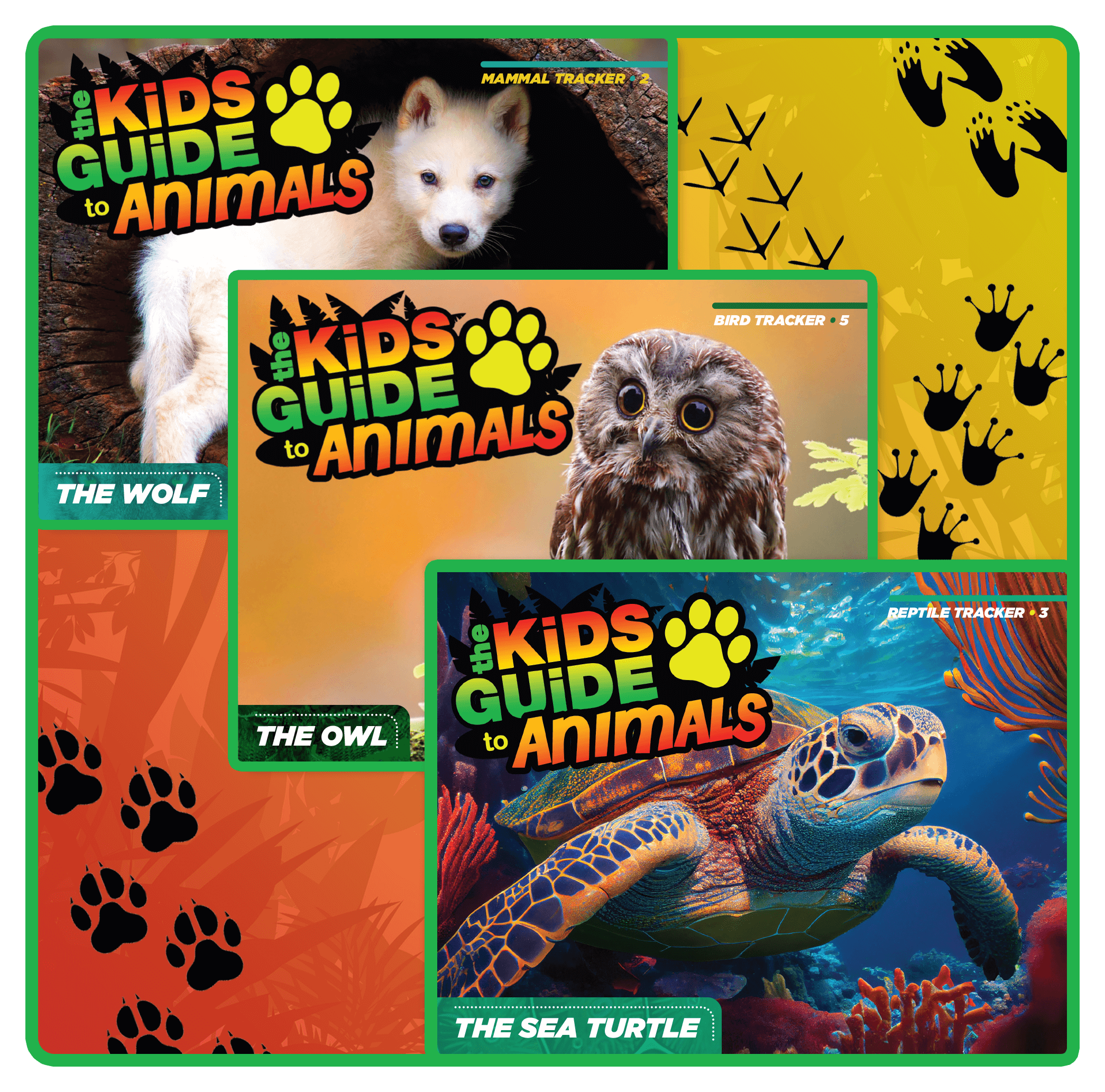 The Kids Guide to Animals - Triple Bundle