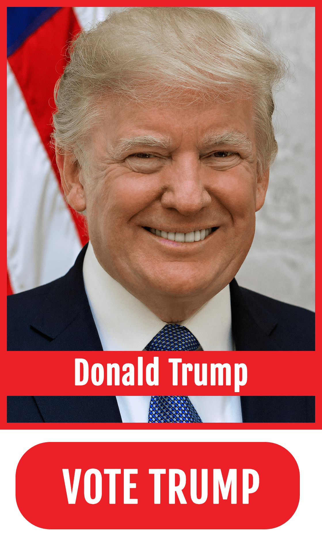 The Kids Guide | Choose Your Next President