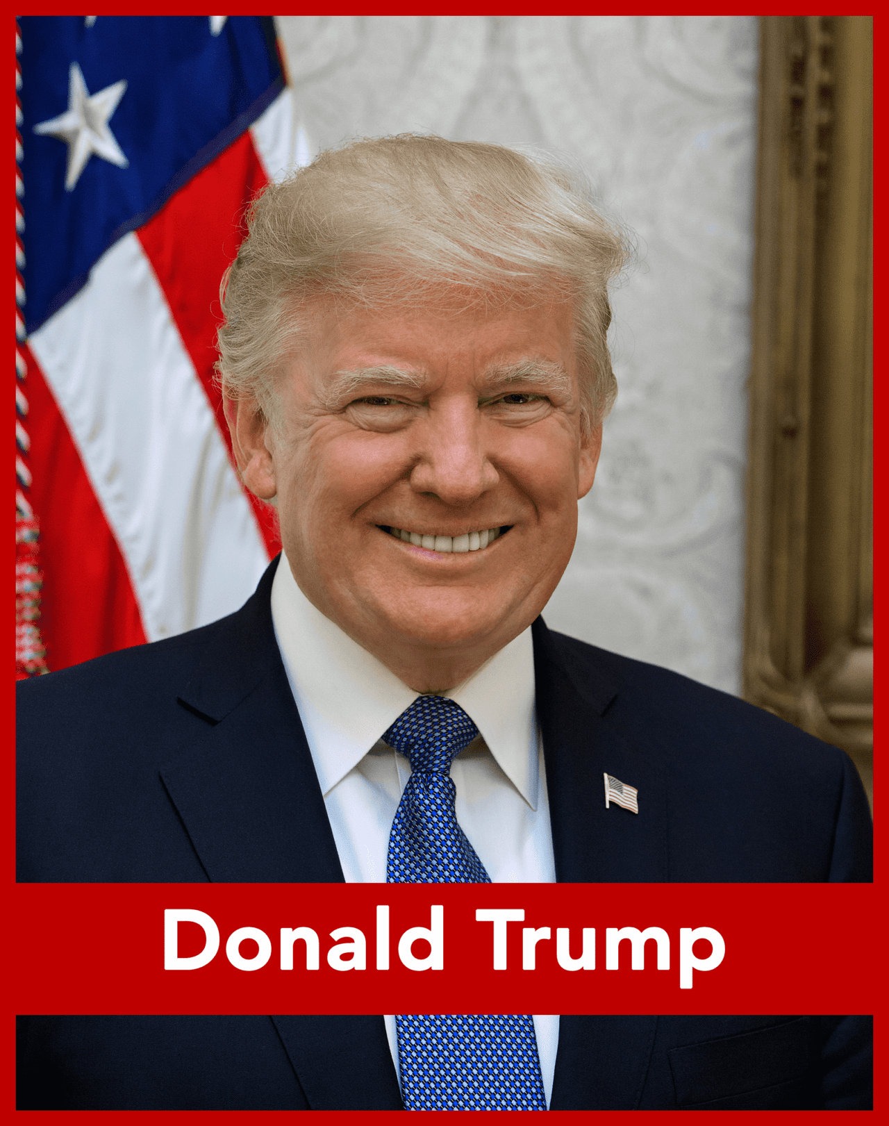 The Kids Guide | Choose Your Next President