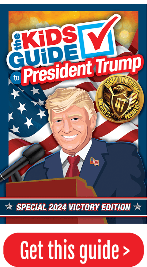 The Kids Guide | Our Guides