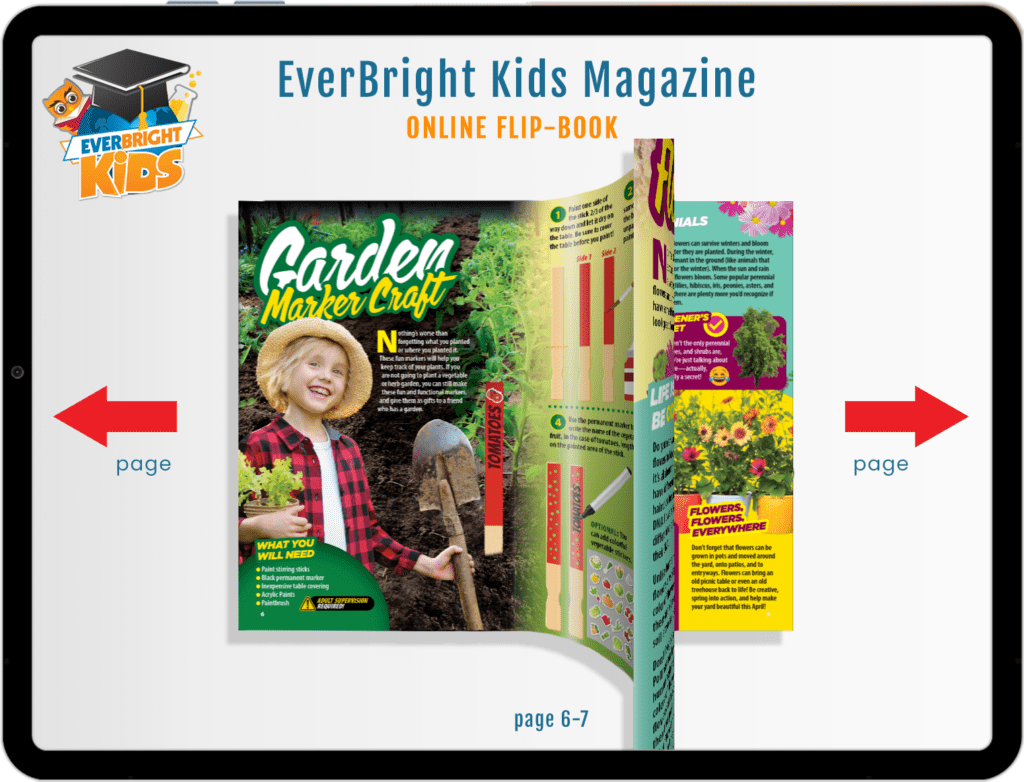 The Kids Guide | Educational Books for Kids!